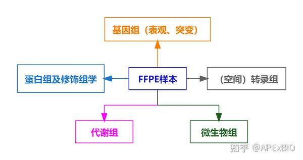 干货分享 | 一文带您全面了解FFPE样本 - 知乎