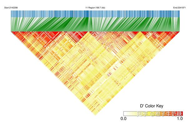 推荐一个画LD block的软件LDBlockShow，亲测比haploview好用！ - 知乎