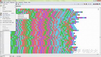 MEGA7.0软件使用 - 知乎