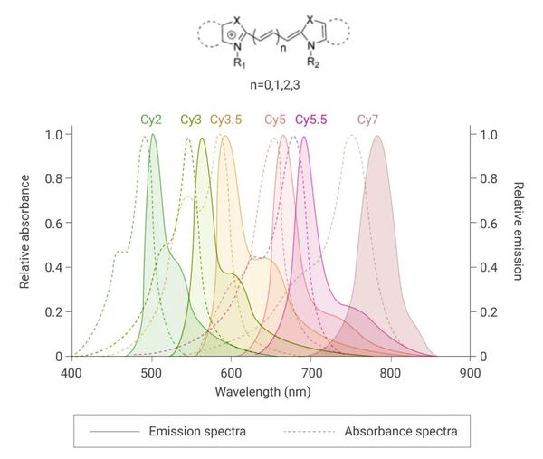 Cyanine 染料 | MedChemExpress - 知乎