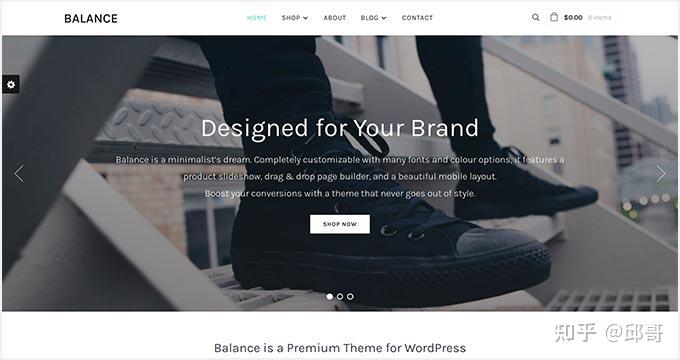 49 个最佳 WooCommerce WordPress 主题 - 知乎