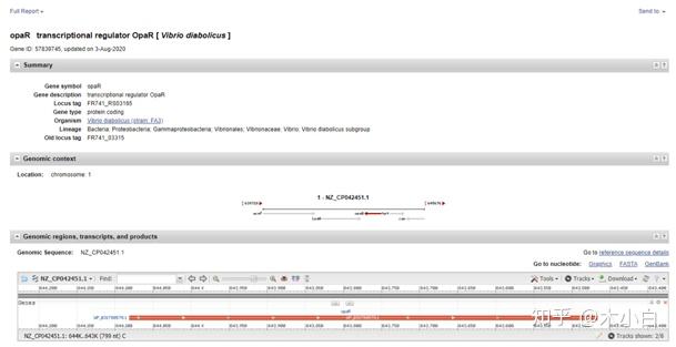 如何使用SnapGene viewer 设计蛋白表达载体PET-32a的引物 - 知乎