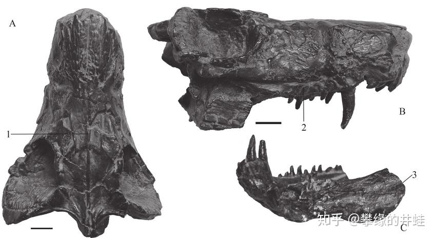 第二百五十六回 百兽图9：白云苍狗 - 知乎