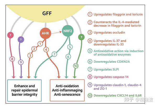 神仙水PITERA冲KPI，又开始发论文？ - 知乎