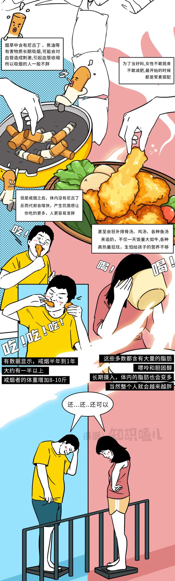 男女对决！谁搞大了我们的肚子？ 知乎