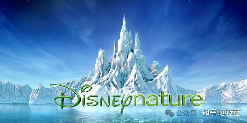 【Disneynature】精选9部《迪士尼自然》专门拍给孩子的纪录片！去除暴力内容，讲讲动物家里那些事儿 - 知乎