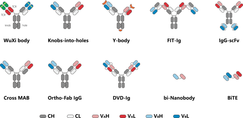靶向治疗策略中的CD3 - 知乎