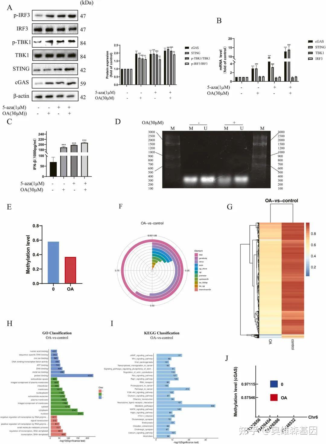 黄芩千层纸素A调节蛋氨酸代谢诱导的cGAS DNA超甲基化促进HSC衰老 - 知乎