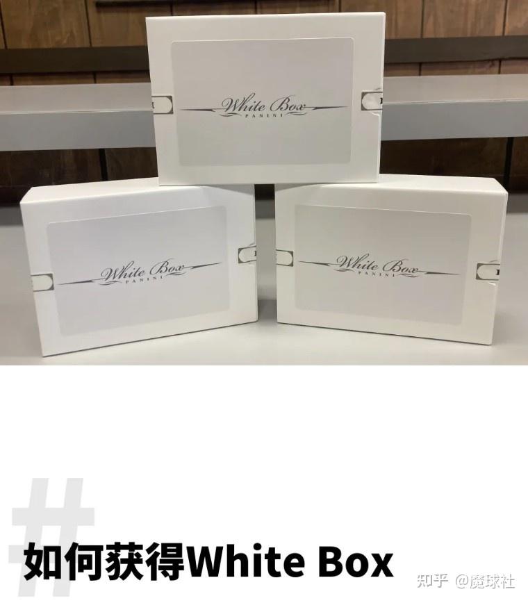 帕尼尼白盒White Box到底是什么？ - 知乎