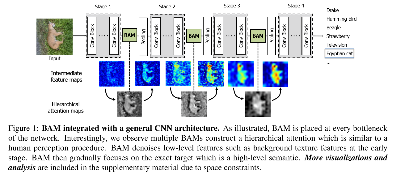 注意力机制BAM和CBAM详细解析（附代码） - 知乎