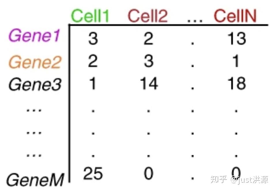 scRNA-seq入门——第二章 从原始数据到表达矩阵 - 知乎
