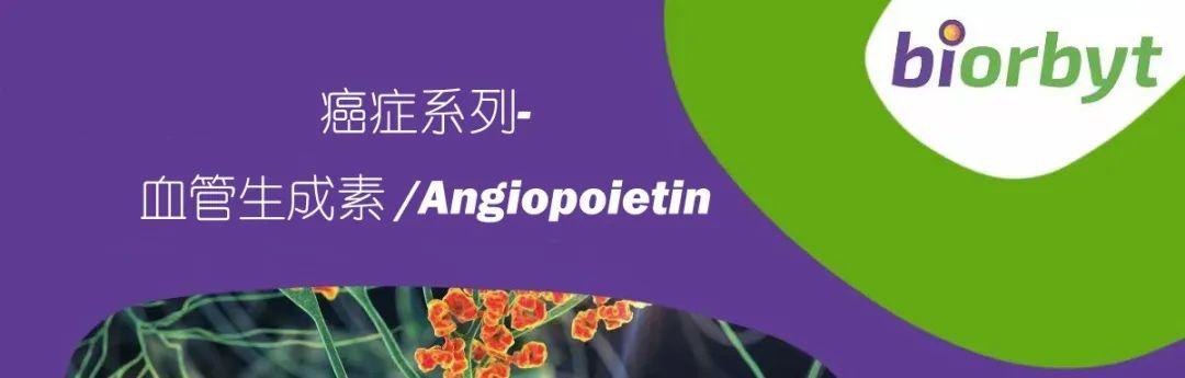 癌症系列-血管生成素 /Angiopoietin - 知乎