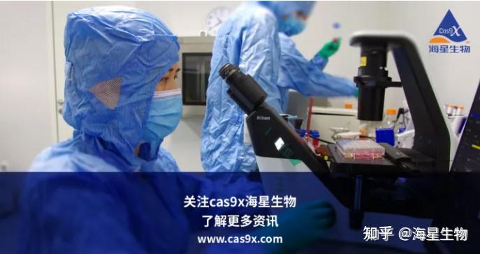 Nature顶刊: CRISPR Screen筛选鉴定癌症免疫治疗靶点CD300ld - 知乎