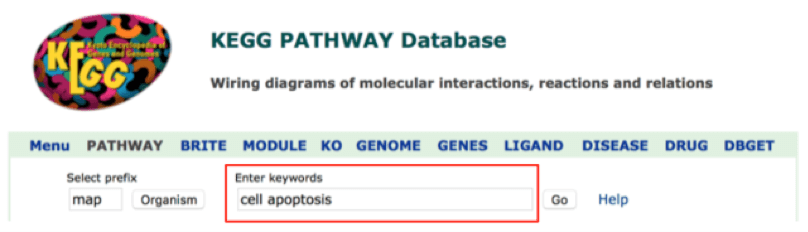 KEGG Pathway 功能绘制通路图 - 知乎