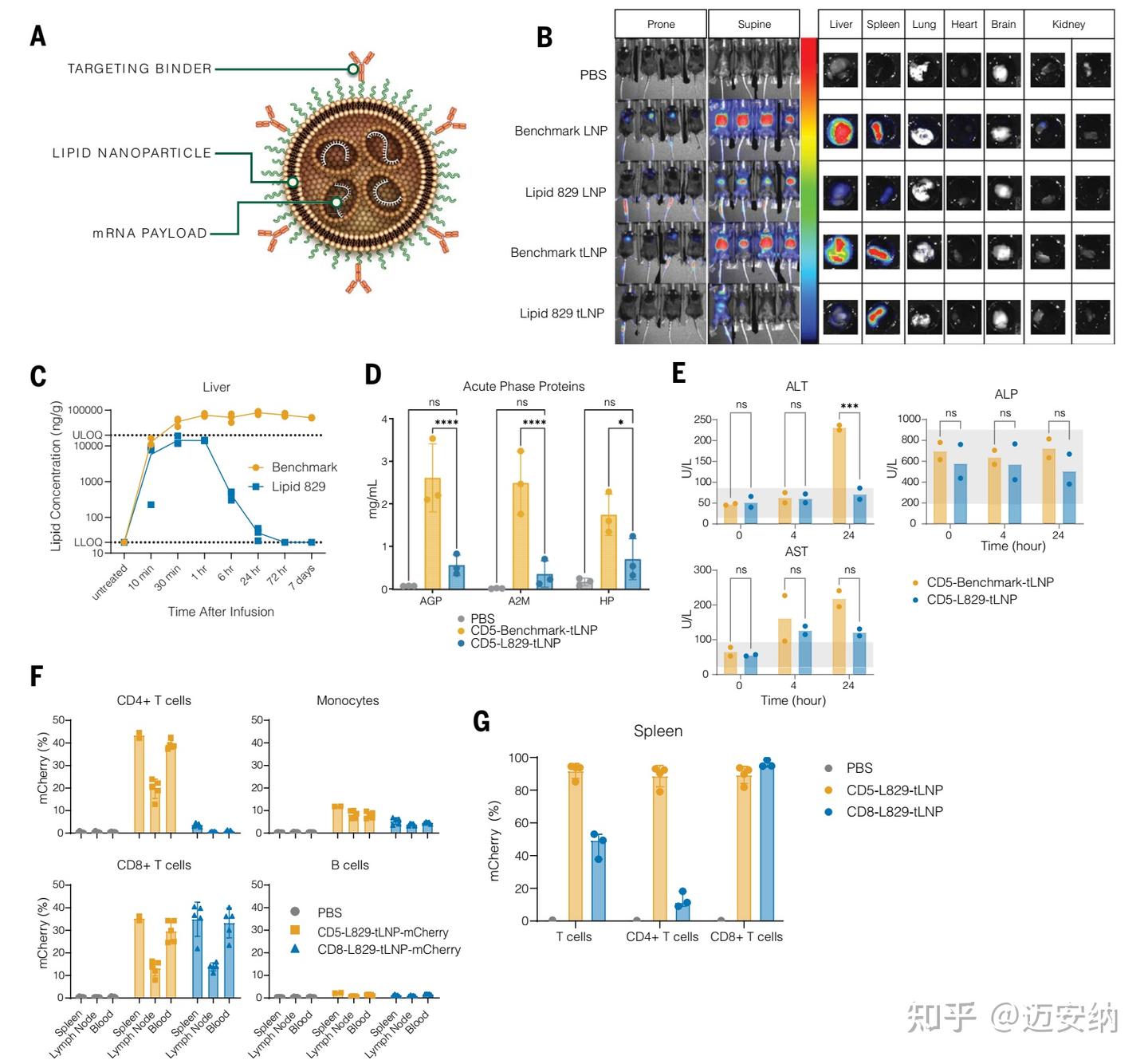 Science发表in vivo CAR-T治疗癌症与自身免疫疾病的最新临床前研究 - 知乎
