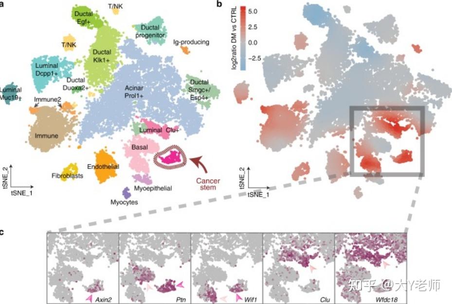 生信识图之 点图进阶-5（tSNE） - 知乎