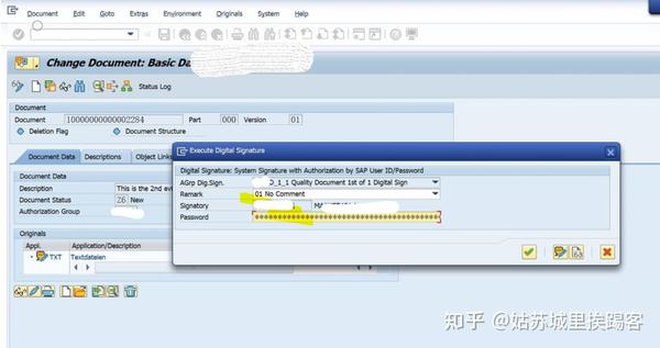 SAP CV02N 审批一个文档 - 知乎