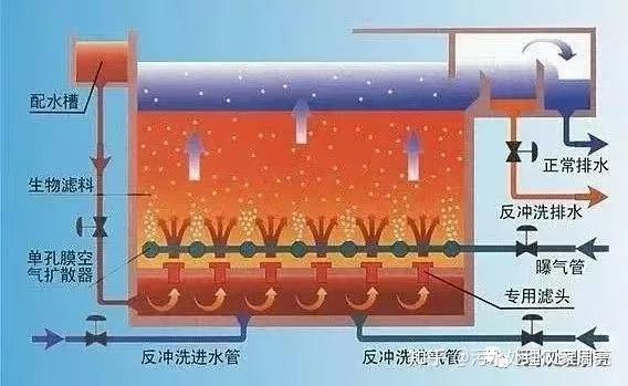 AO工艺、A2O工艺、MBR工艺、SBR工艺、曝气生物滤池五种常见工艺分析 - 知乎