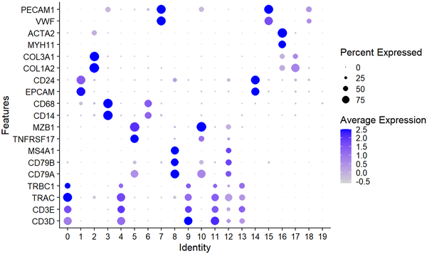 （附代码）单细胞转录组全流程整理四：marker基因鉴定及细胞群注释 - 知乎