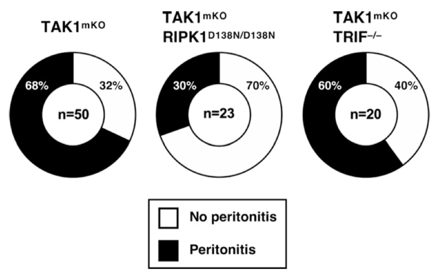 J Immunol丨TAK1 限制死亡受体 Fas 诱导的巨噬细胞死亡 - 知乎