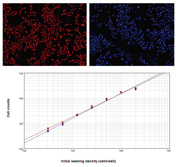 DAPI 染色的替代方案：成像和活细胞计数 - 知乎