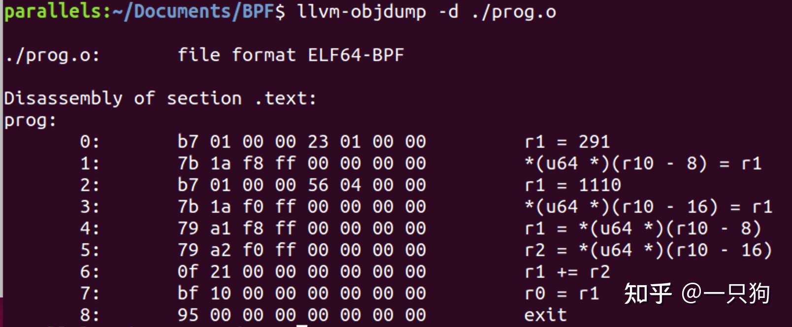 BPF之路二: (e)BPF汇编 - 知乎