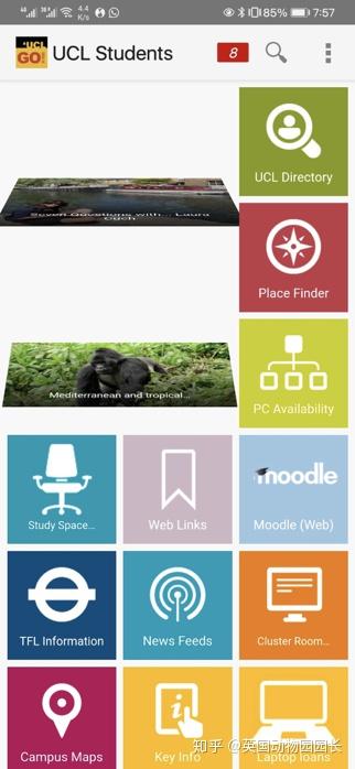 UCL就读的日子里，这些专属APP和网站陪伴你解决一个个难题！ - 知乎