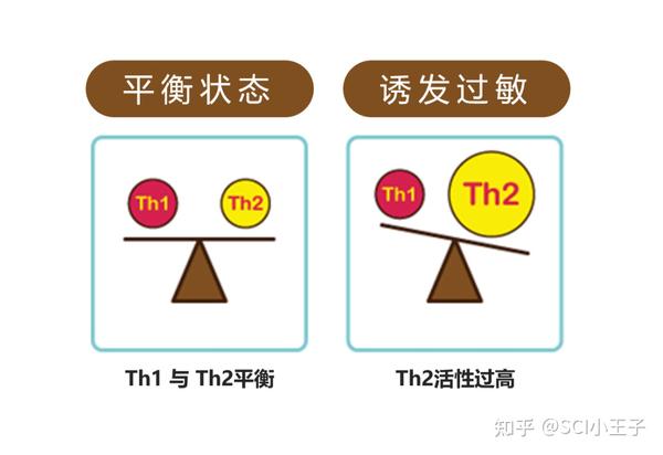 颠覆认知，原来“过敏”是这样进展的…… - 知乎