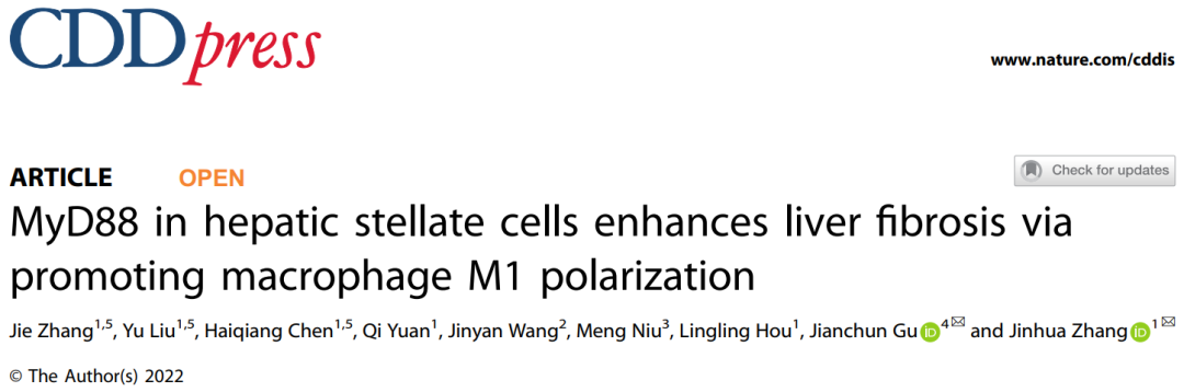 Cell Death Dis︱ 张金华课题组揭示肝纤维化新机制：肝星形细胞中MyD88通过促进巨噬细胞M1极化增强肝纤维化 - 知乎
