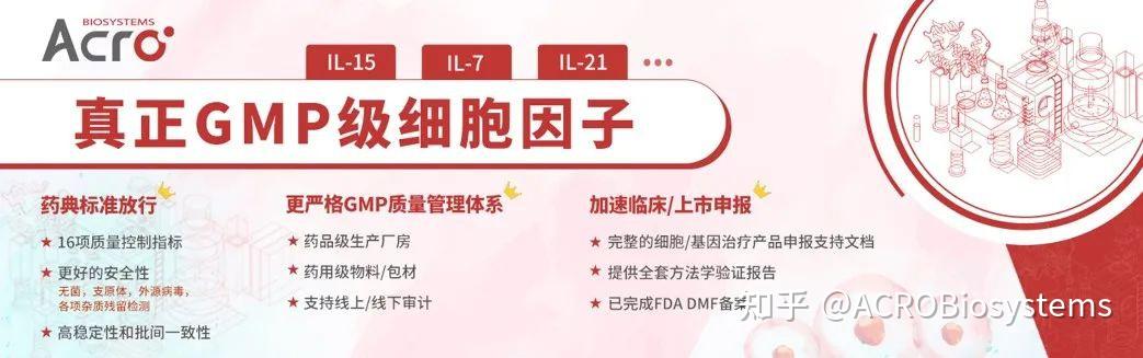 【新品来袭】GMP 级别抗CD28抗体 | OKT3抗体！ - 知乎