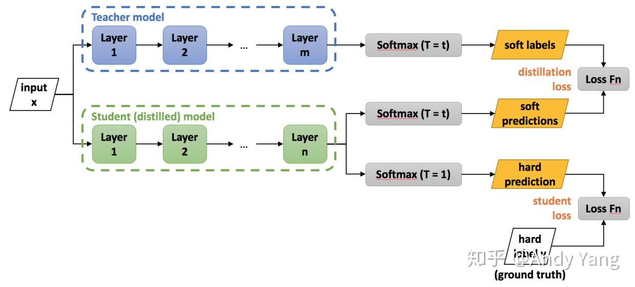 BERT 瘦身之路：Distillation，Quantization，Pruning - 知乎