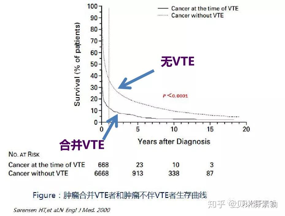 谈一谈肿瘤与VTE的前世今生 - 知乎