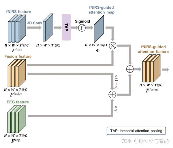 FGANet—混合EEG-fNIRS脑机接口的fNIRS引导注意网络 - 知乎