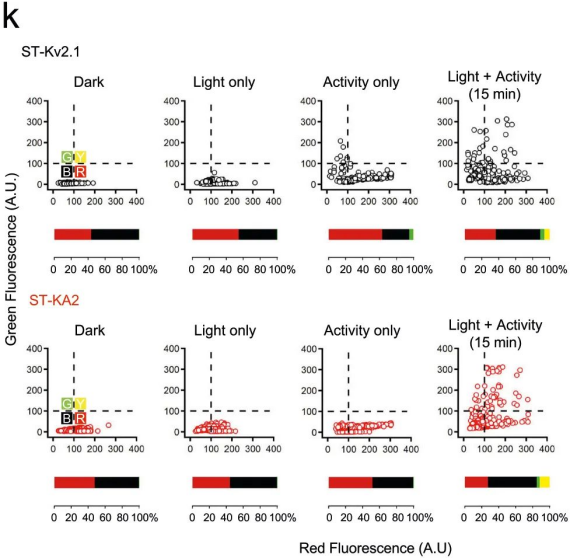 【新品推荐】光钙新工具：ST-Cal-Light - 知乎