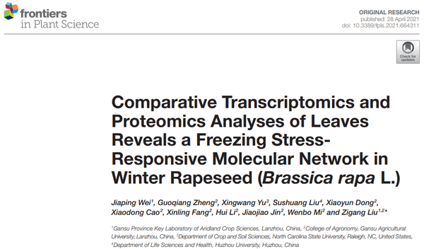文献解读|Front. Plant Sci.转录/蛋白质组学联合解析冬油菜冷冻胁迫响应机制 - 知乎