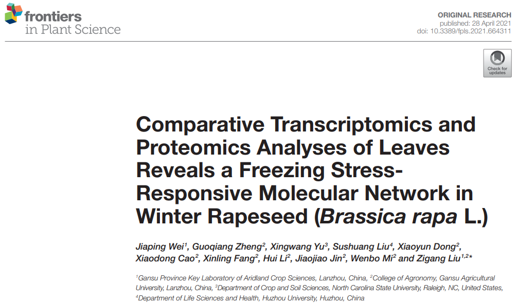 文献解读|Front. Plant Sci.转录/蛋白质组学联合解析冬油菜冷冻胁迫响应机制 - 知乎