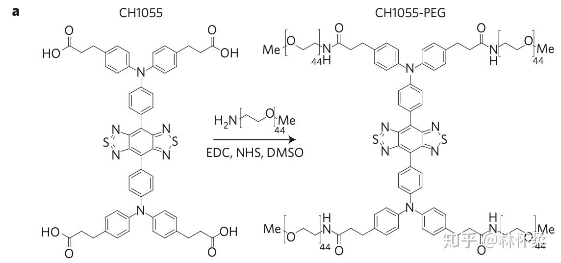 05.16 文献读：A small-molecule dye for NIR-II imaging - 知乎