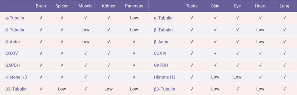 一抗二抗傻傻分不清？如何选择抗体？| MCE - 知乎