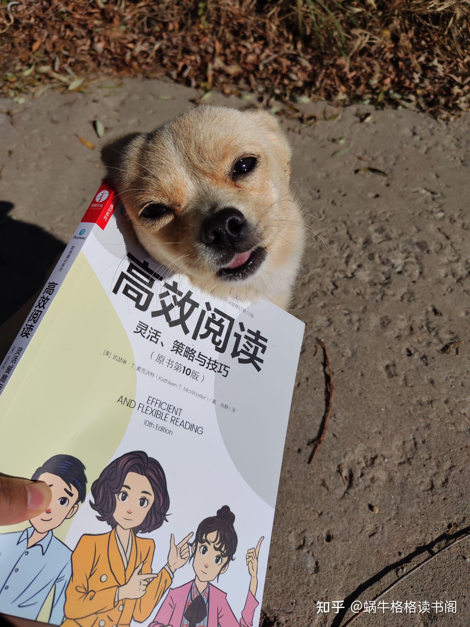 读《高效阅读：灵活、策略与技巧》让阅读更轻松 知乎