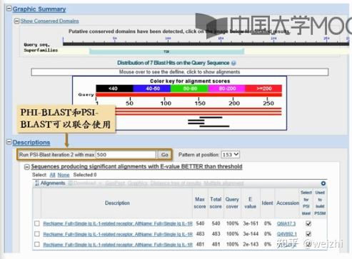 山东大学生物信息学学习笔记4—BLAST - 知乎