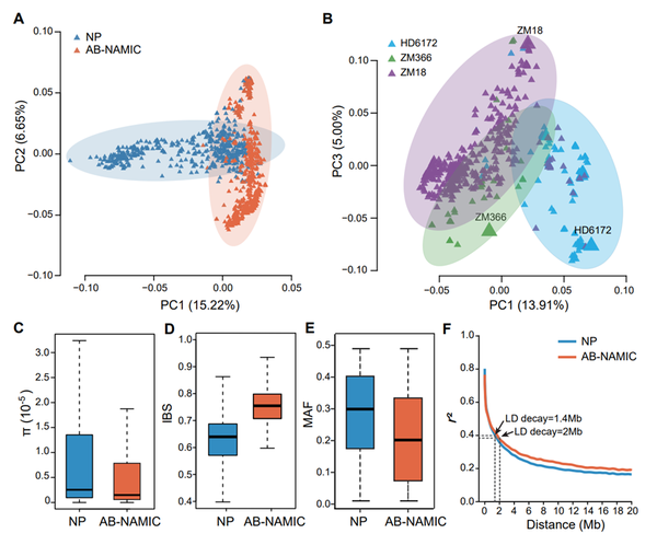 合作文章| 中国农科院作科所构建小麦AB-NAMIC群体为基因发掘与育种利用提供有力支撑 - 知乎
