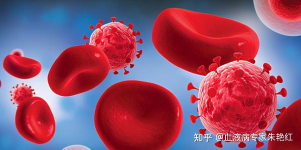 血小板减少的10个必要知识点，你一定要了解！ - 知乎