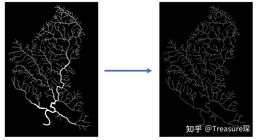 ImageJ实用教程——骨架化分析(定量分析篇) - 知乎