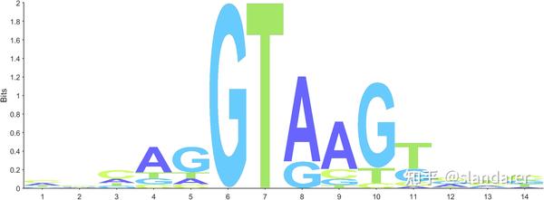 MATLAB | 如何使用MATLAB绘制序列logo图 - 知乎
