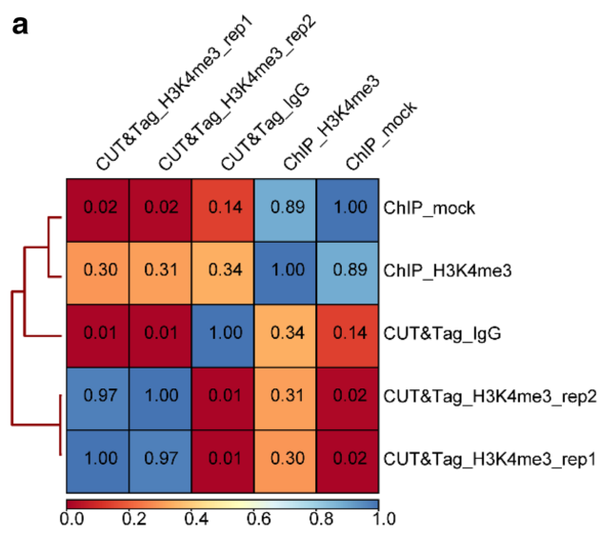 CUT&Tag成功应用于植物领域！ - 知乎