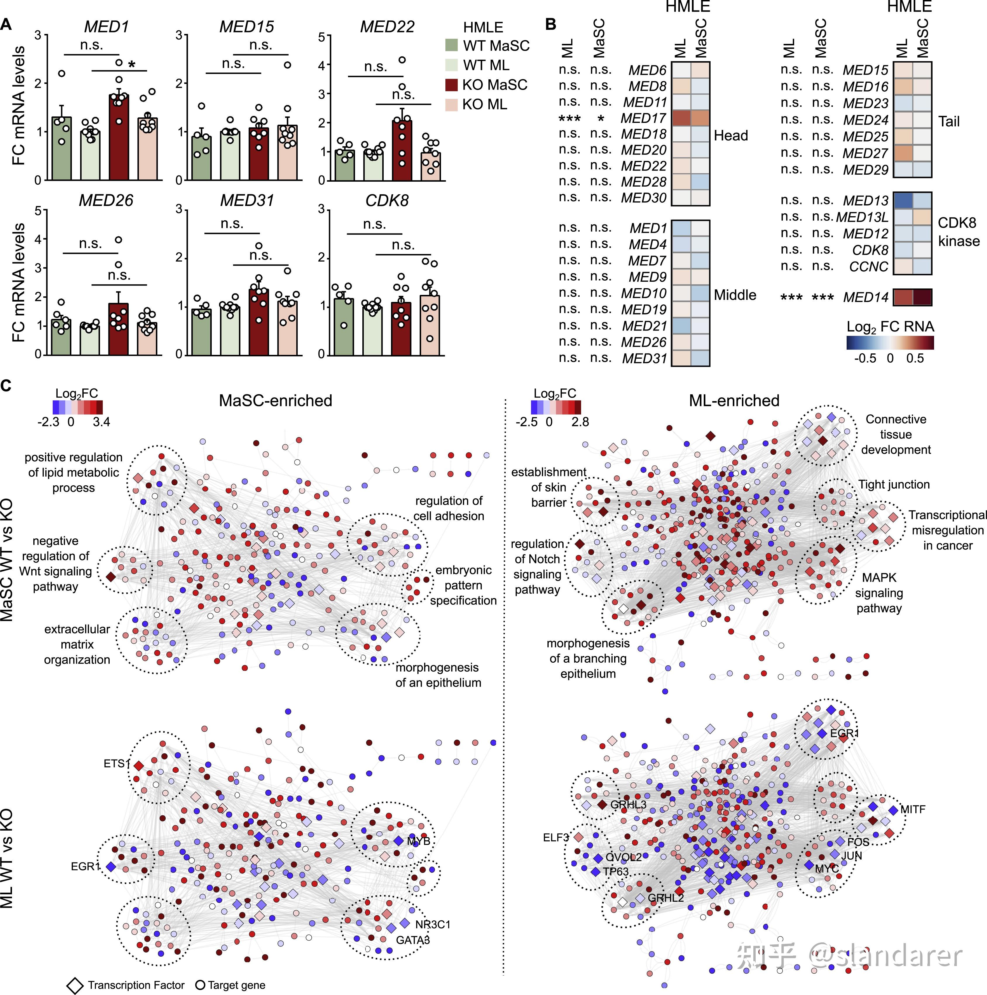 MATLAB | 如何使用MATLAB获取顶刊cell全部绘图(附带近3年全部图像) - 知乎