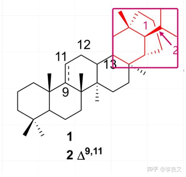 Chemdraw的安装与一些重要的细节 知乎