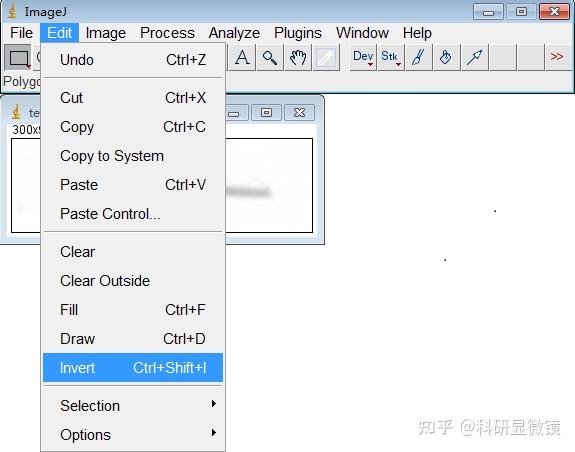 ImageJ惊艳登场！分分钟搞定WB条带灰度分析（内含免费软件包） - 知乎