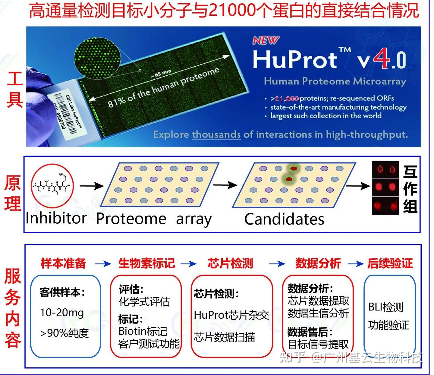 药靶开发|《Adv Sci》解读：HuProt™蛋白芯片筛选抗癌化合物结合蛋白！冬凌草乙素稳定KEAP1-PGAM5抑制肝癌进展 - 知乎