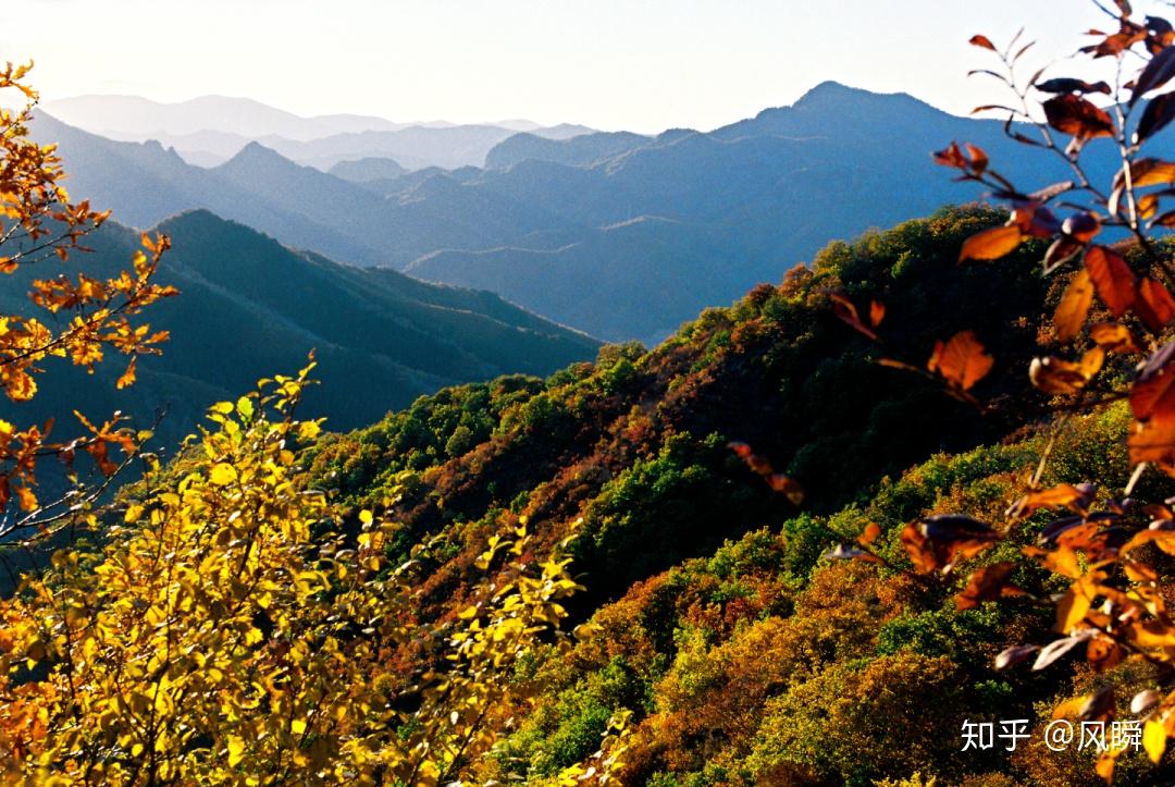 茅荆坝往昔 - 知乎